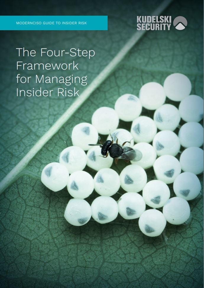 The Four-Step Framework for Managing Insider Risk